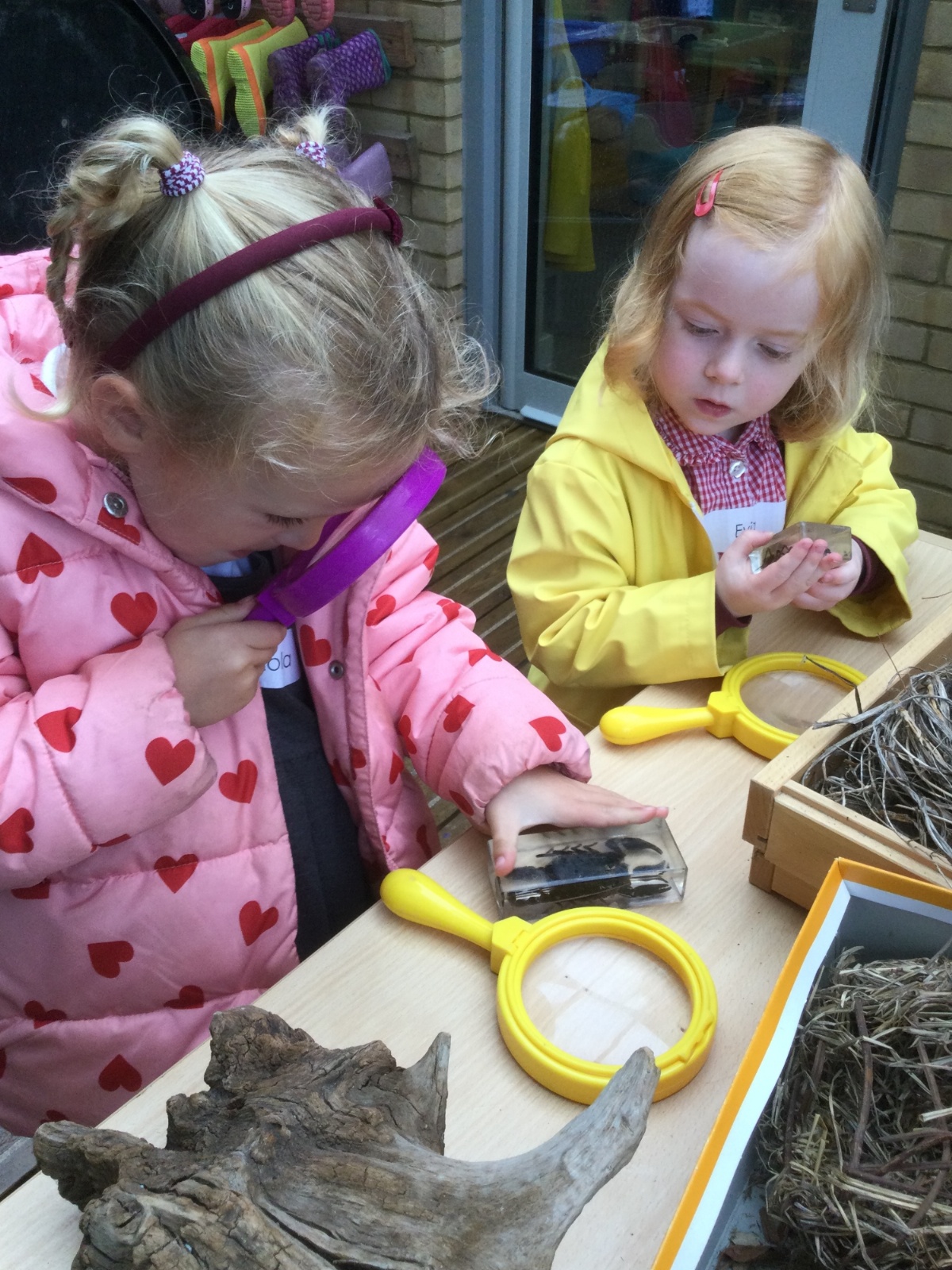 Reception - Hassocks Infant School